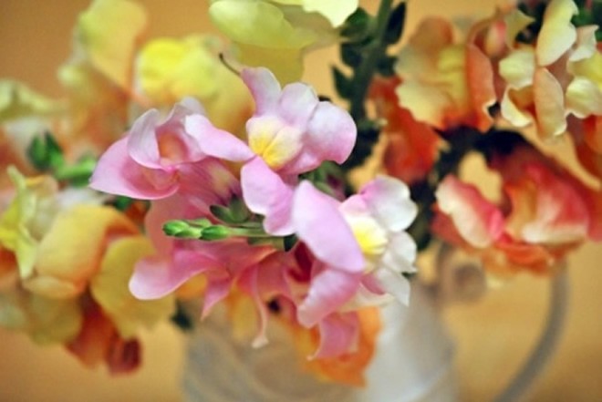 Vow Renewal Color Scheme Ideas: Setting the Scene - IDoStill.com